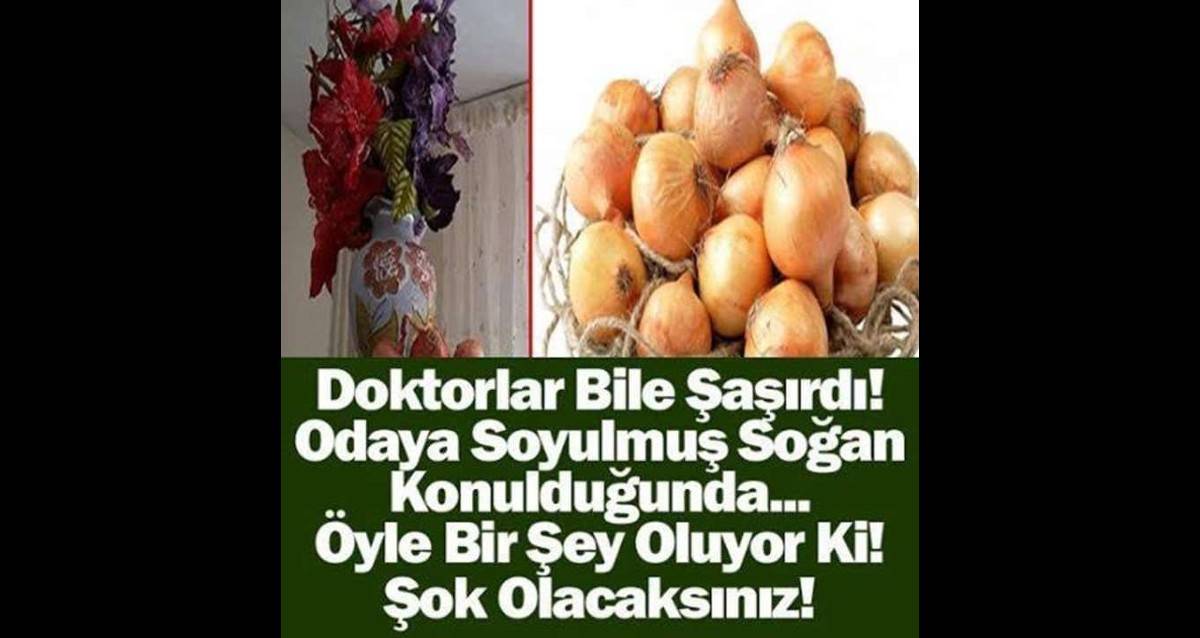 ODAYA SOYULMUŞ SOĞAN KONDUĞUNDA