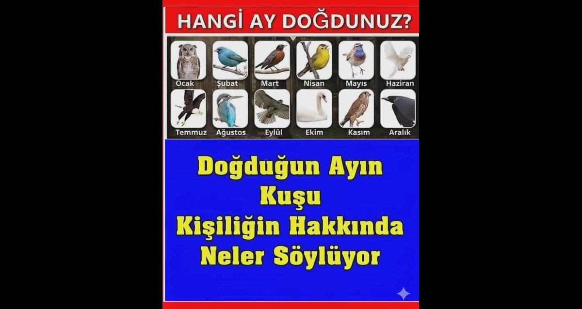 Doğduğun Ayın Kuşu Kişiliğin Hakkında Neler Söylüyor..! D’EVAMI: Y.ORUMDA?
