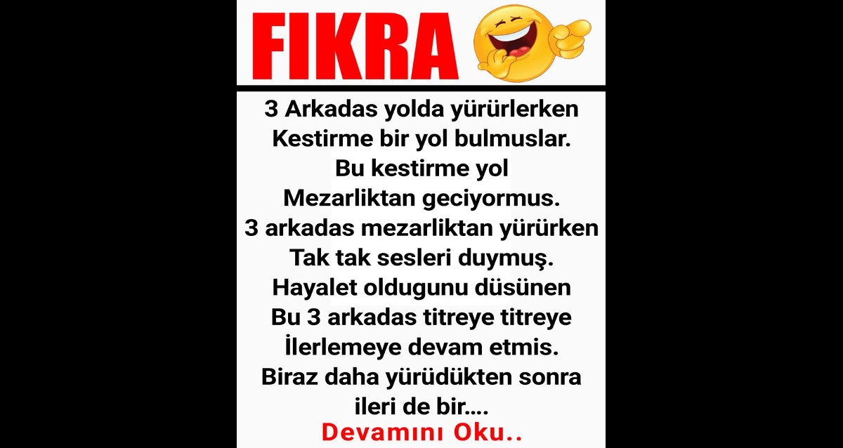 3 Arkadas yolda yürürlerken Kestirme bir yol bulmuslar.