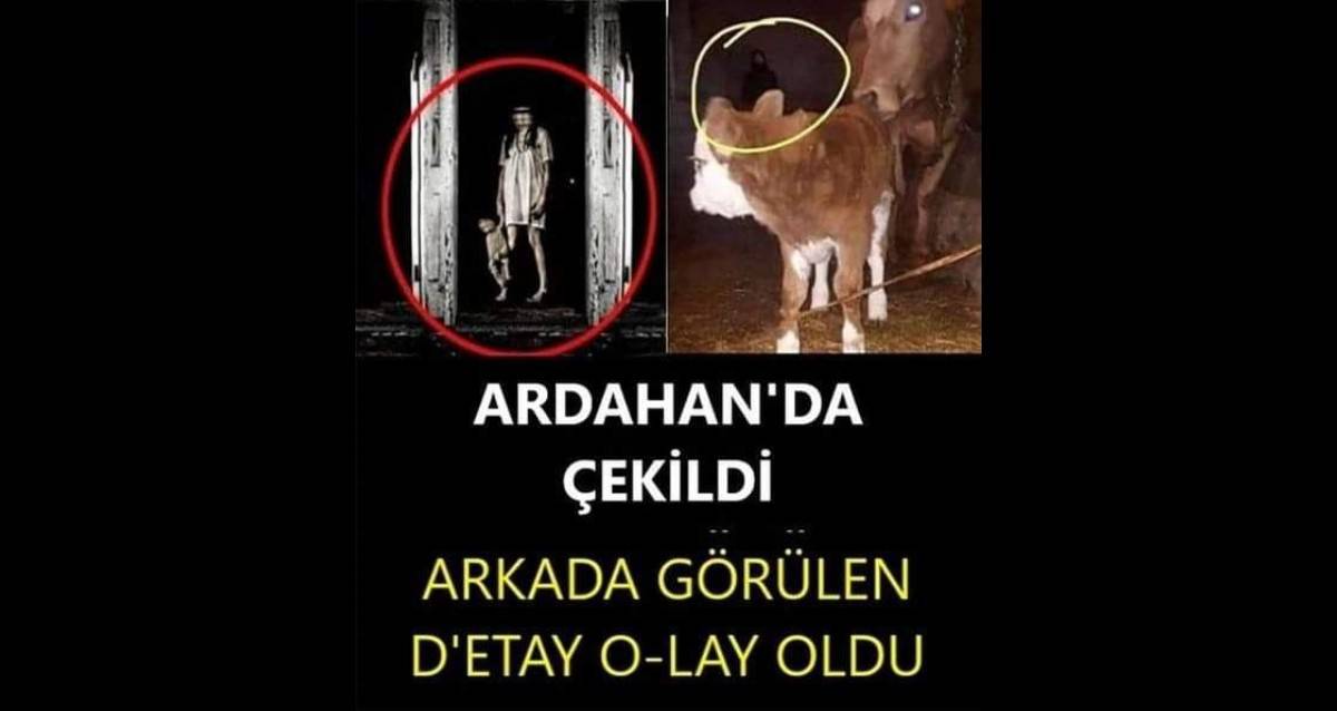 ARDAHAN’ın Damal ilçesine bağlı Yukarı Gündeş köyünde Cengiz Morkoç’un ...