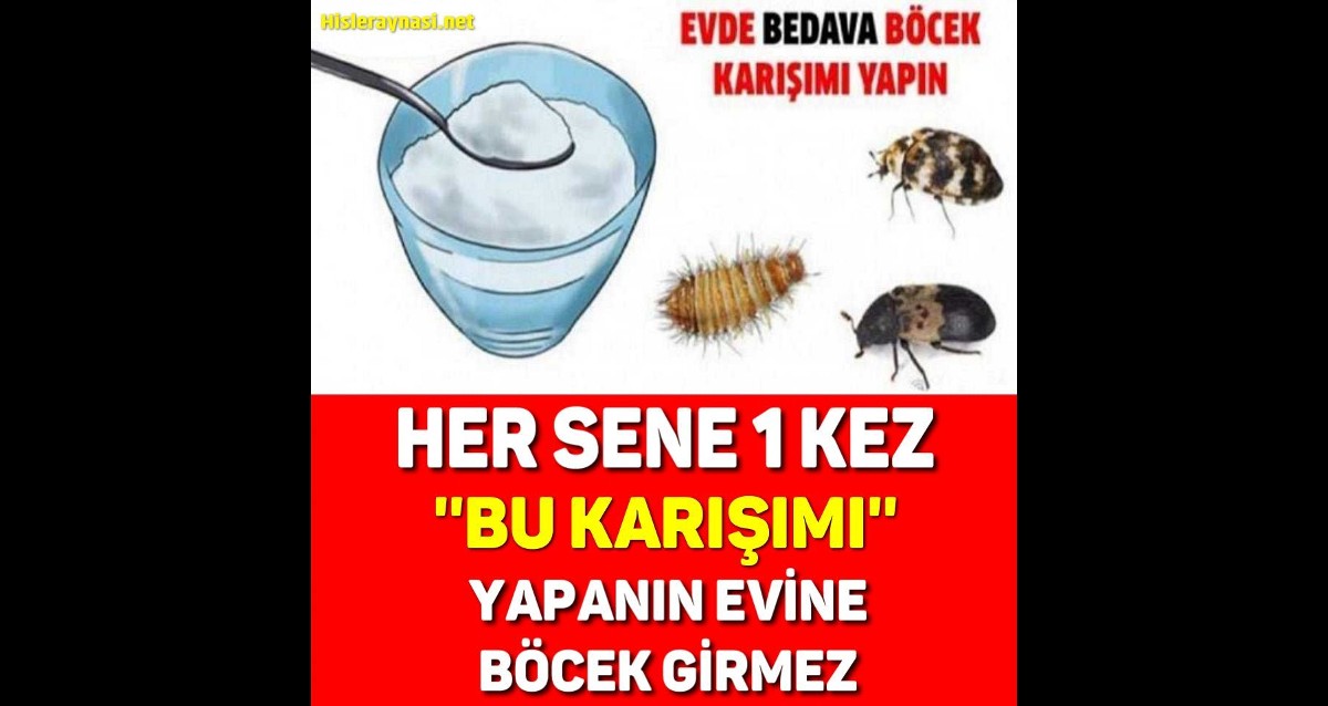 BU DOĞAL KARIŞIM SİZİ BÖCEKLERDEN KURTARIYOR > DETAYLAR YORUMDA