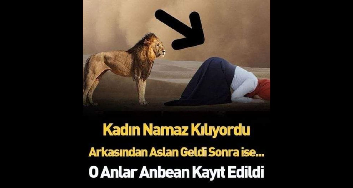 Aslan namaz kılan kadına bakın ne yapıyor?! Devamı ılk Y'orumda